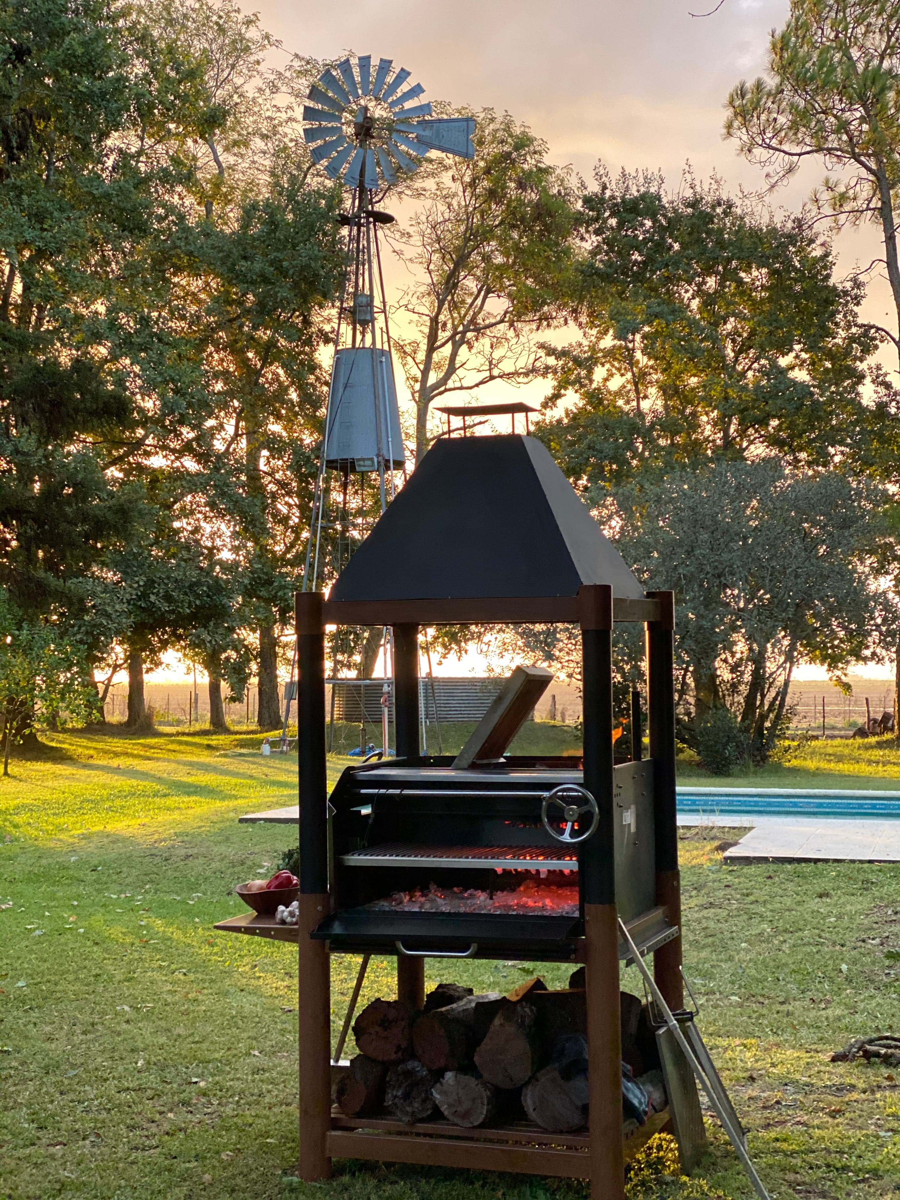 Tagwood BBQ the Beast Argentine Wood Fire & Charcoal Grill | Stainless ...